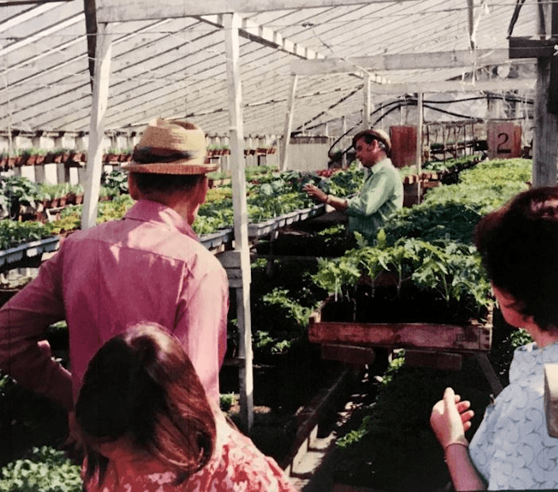 Central Botanical Growers | Saskatchewan's Largest Growing Greenhouse